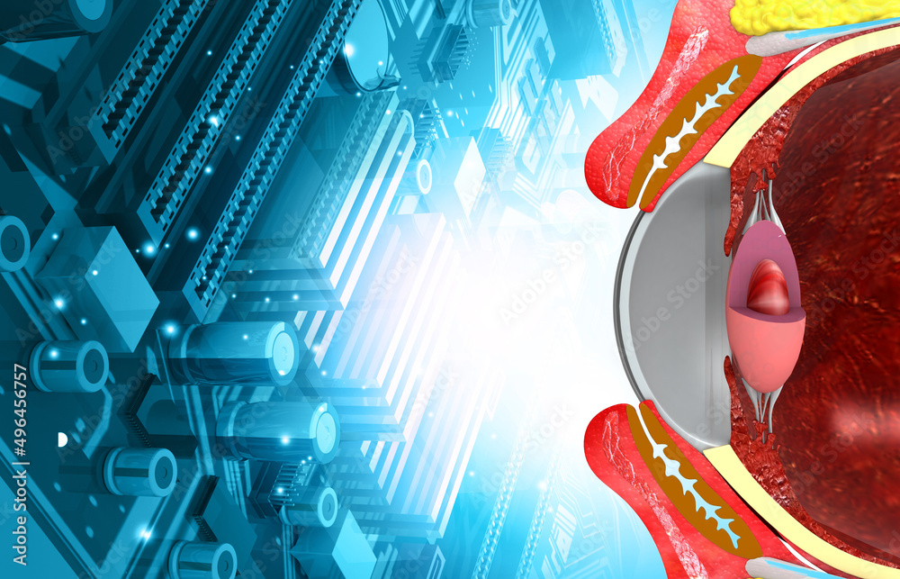 Artificial vision concept. Chip with human eye anatomy. 3d illustration ...