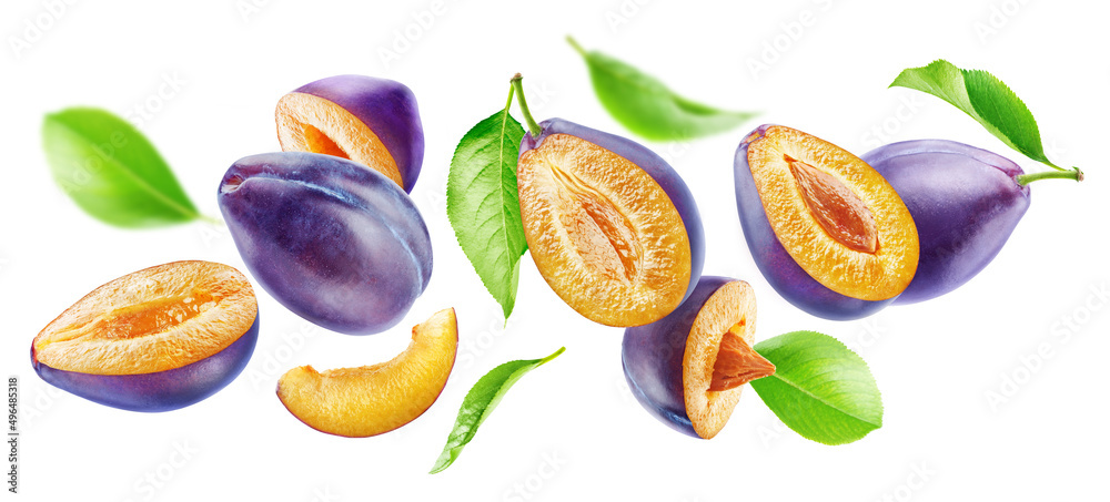 Composition of ripe flying plums whole, sliced and with pits and leaves ...