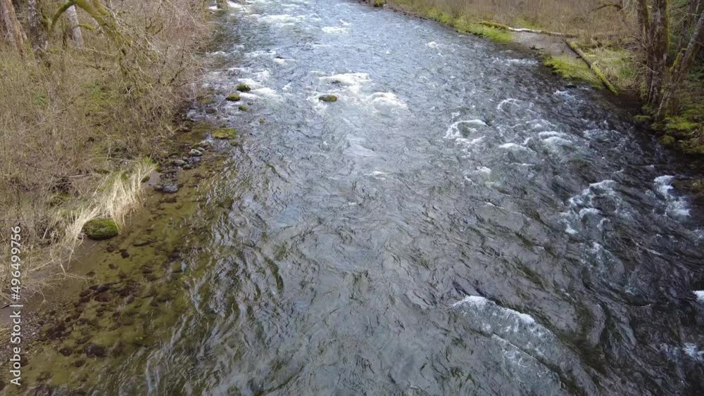 The Salmon River flows through a beautiful old-growth forest near Mount ...