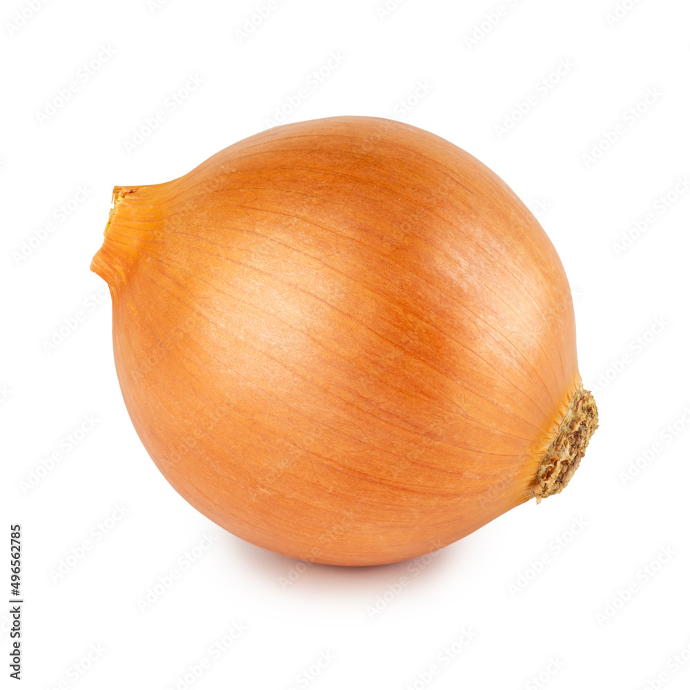 Whole sweet onion bulb, in horizontal side view, isolated on white ...