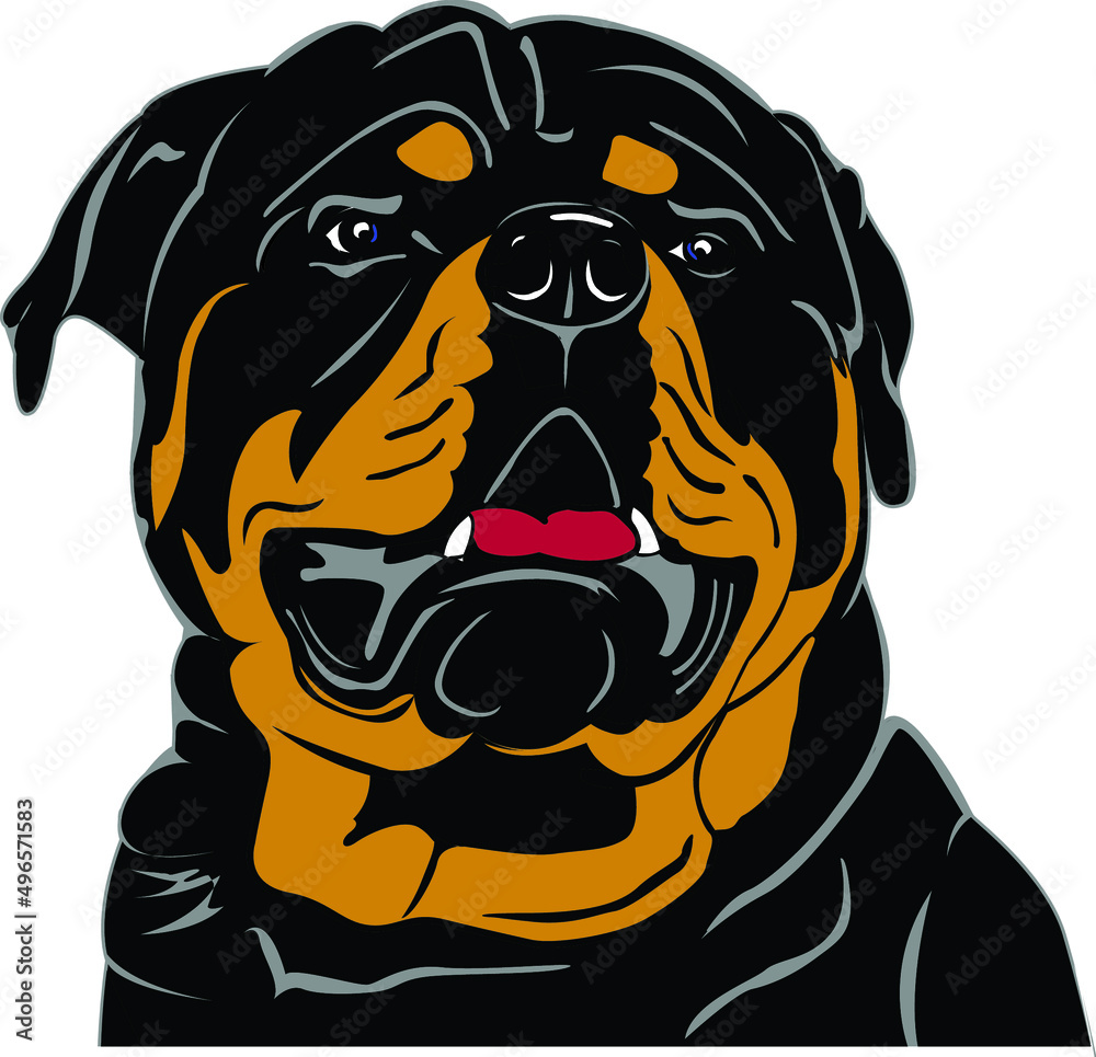 Vector drawing of a rottweiler dogs head Stock Vector | Adobe Stock