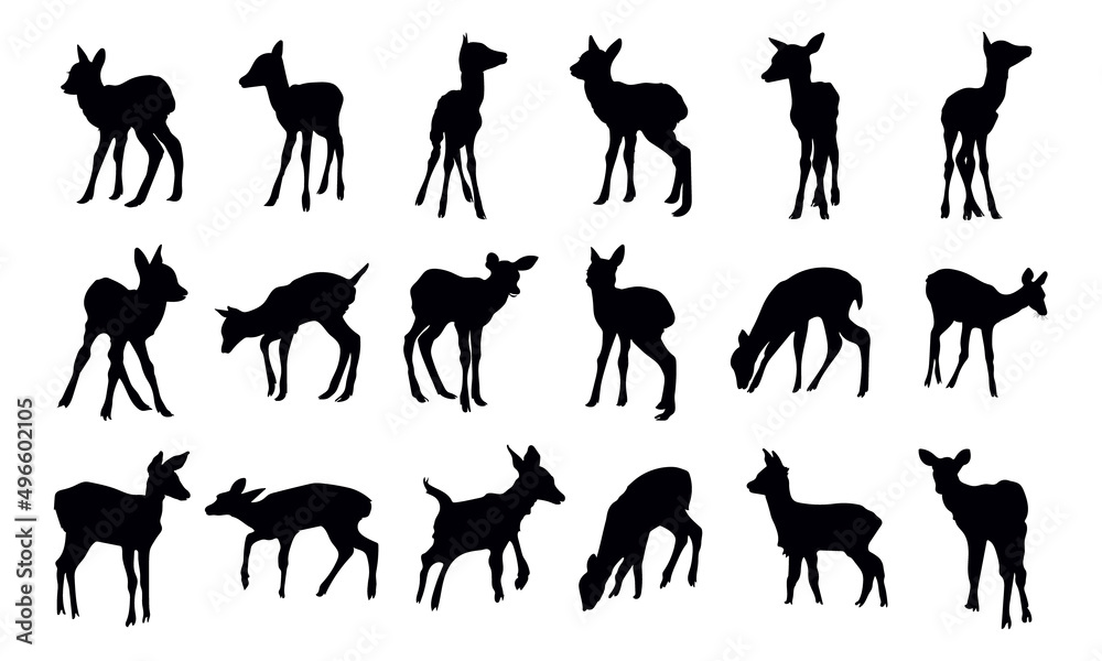 Female Deer Graphic