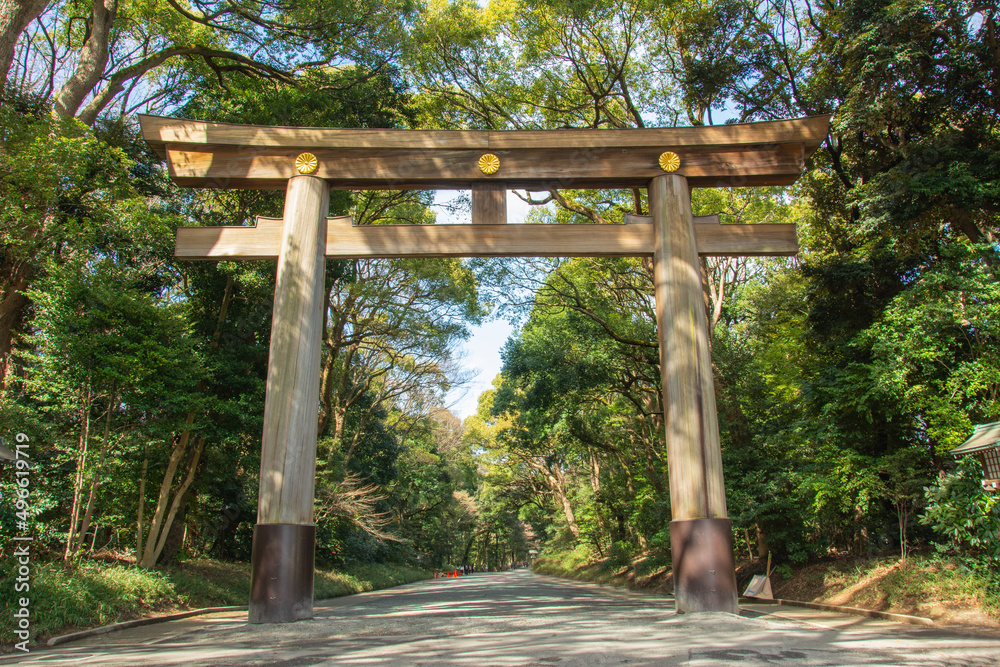Torii (traditional Japanese gate) in a forest on the way to Meiji-jingu ...