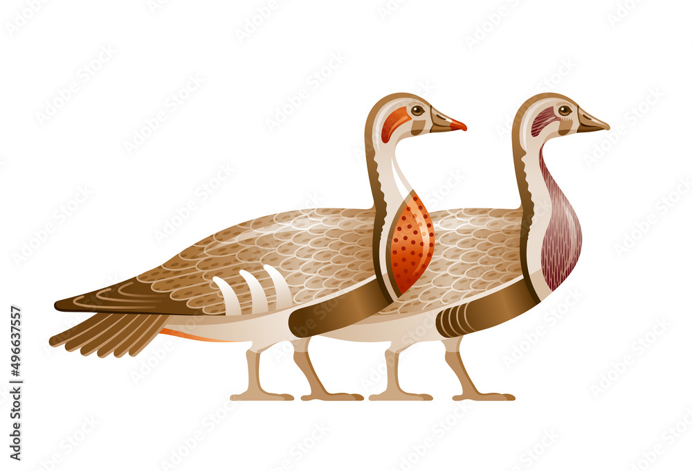 Egyptian bird vector. Geese from Egypt. Pharaoh goose art. Wild duck ...