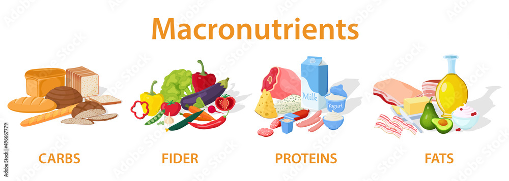 A set of useful macronutrients.Fiber, proteins, fats and carbohydrates ...