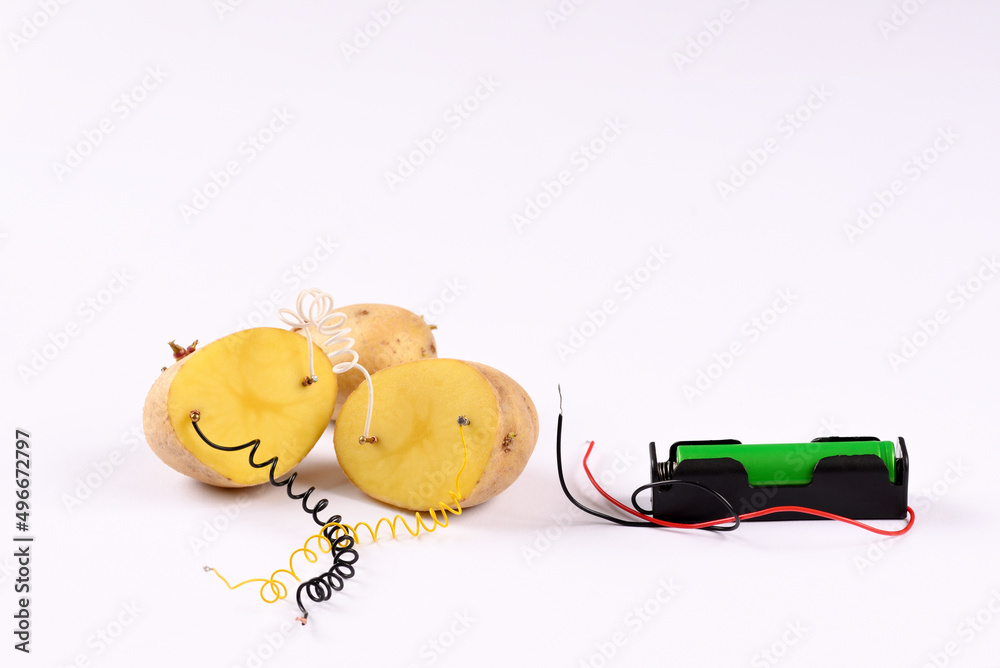 Potato battery on white background. Alternative green energy generated ...