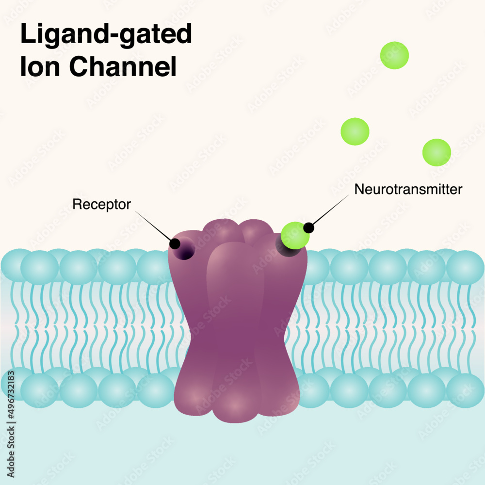 Ligand Gated Ion Channels