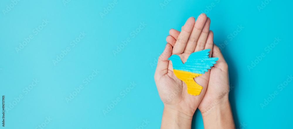 Support for Ukraine in the war with Russia, Hands holding peace dove ...