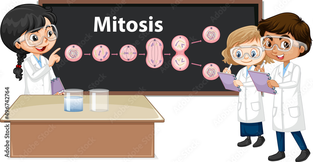 Scientist kids learning mitosis science Stock Vector | Adobe Stock