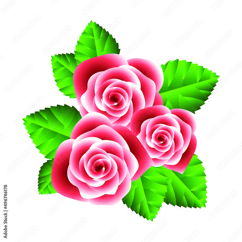 Rose flowers, top view isolated on white background, vector ...