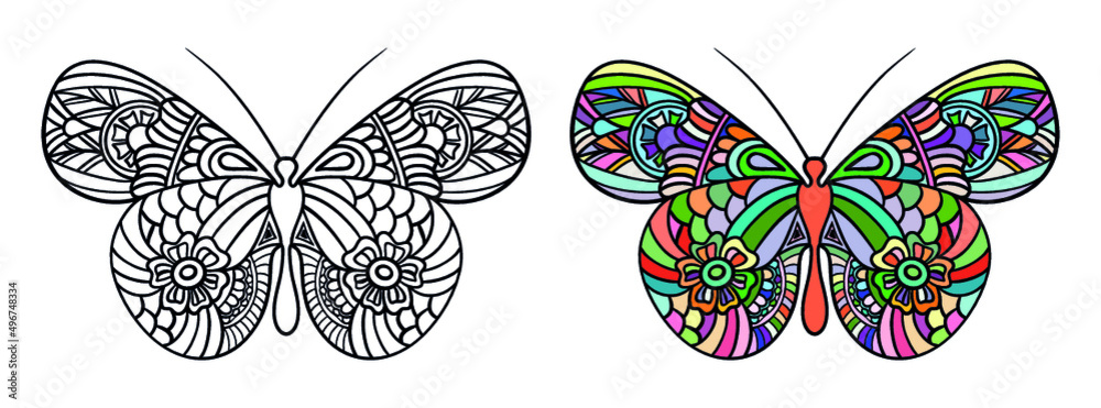 Hand drawn butterfly coloring page for adults line art outline print ...