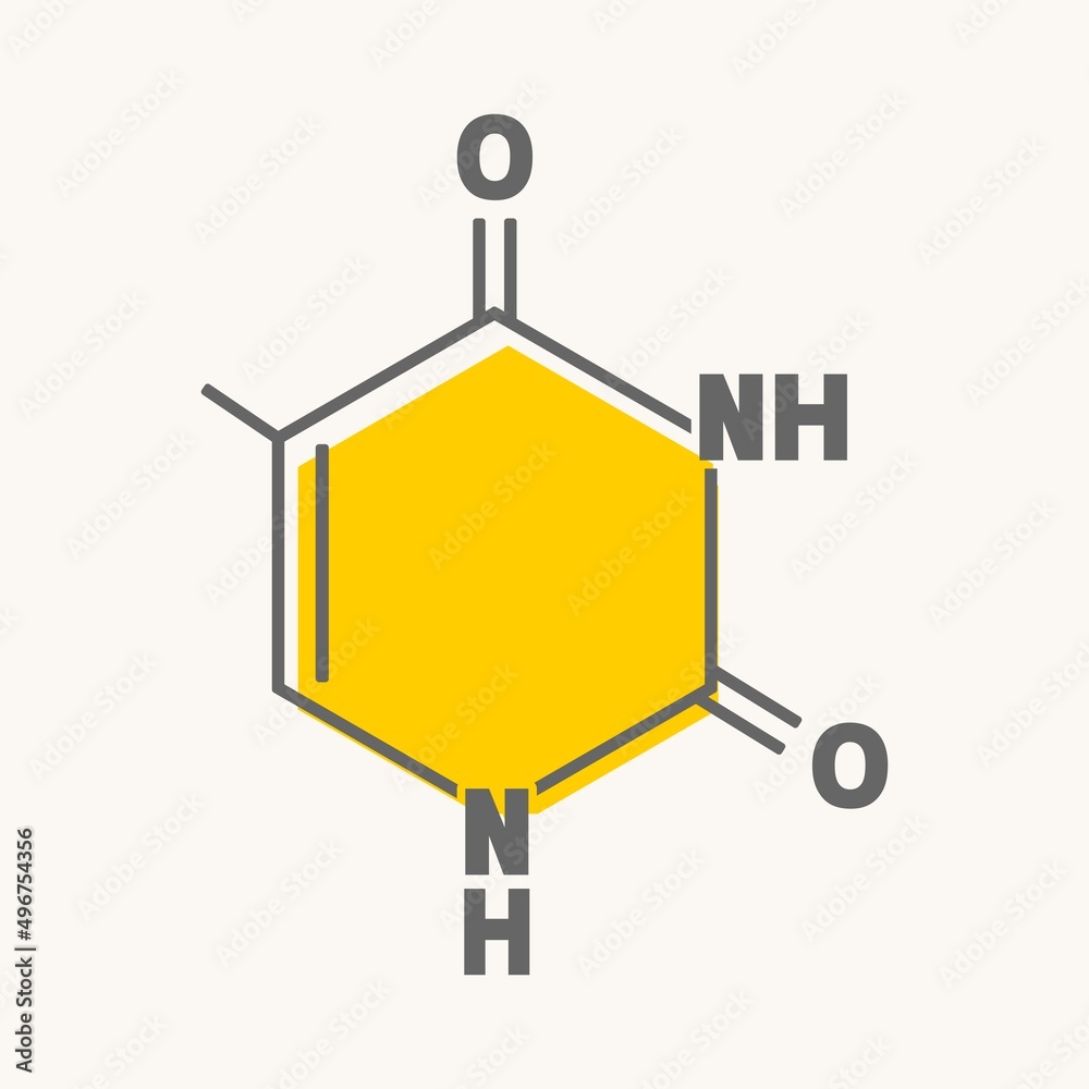 Chemical structural formula of thymine - DNA and RNA nitrogen base ...