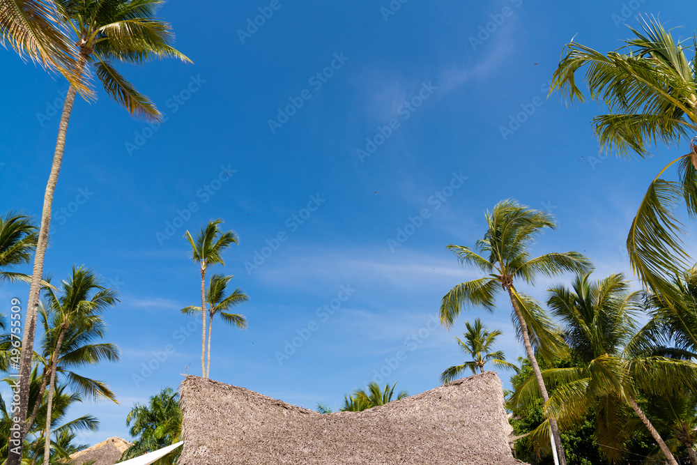 Tropical thatched umbrella roofs for shade and protection from the ...