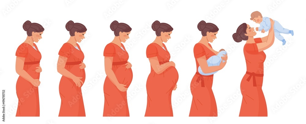 Stages of pregnancy. Stage trimester pregnant woman, infographic growth ...