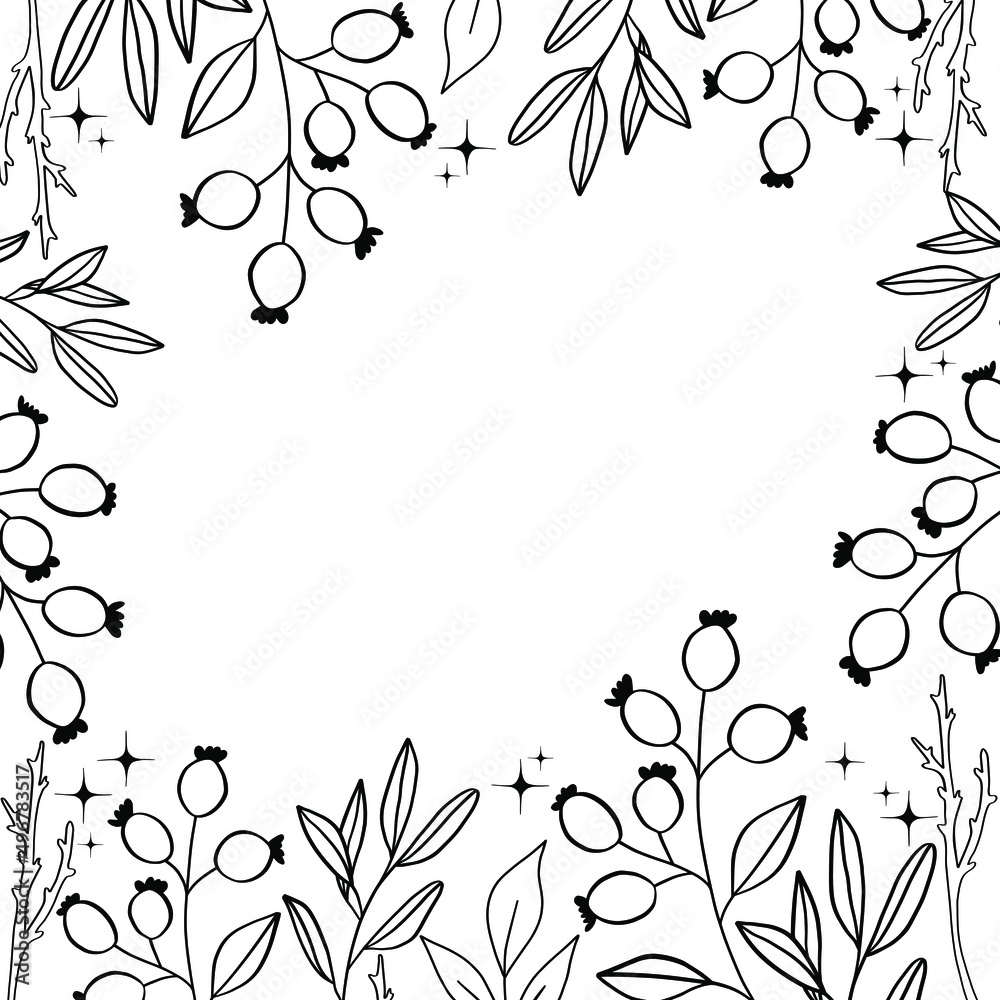 Vector square frame with plants. Vector line drawing of a rosehip plant ...