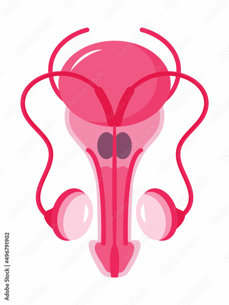 Prostate icon concept vector. Andrologist illustration of andrology for ...