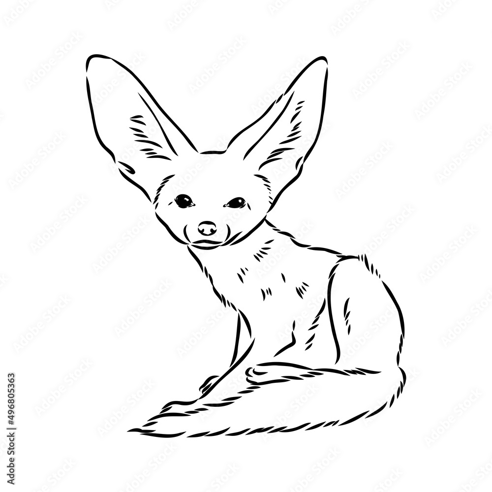 Vector illustration of a young fennec fox walking. fox fenek vector ...