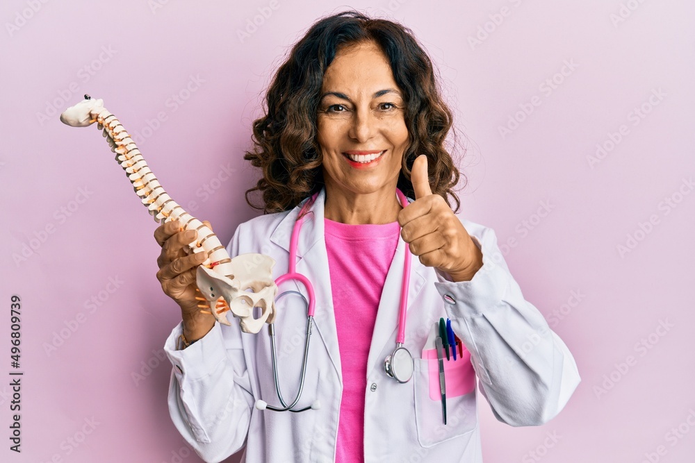 Middle age hispanic doctor woman holding anatomical model of spinal ...