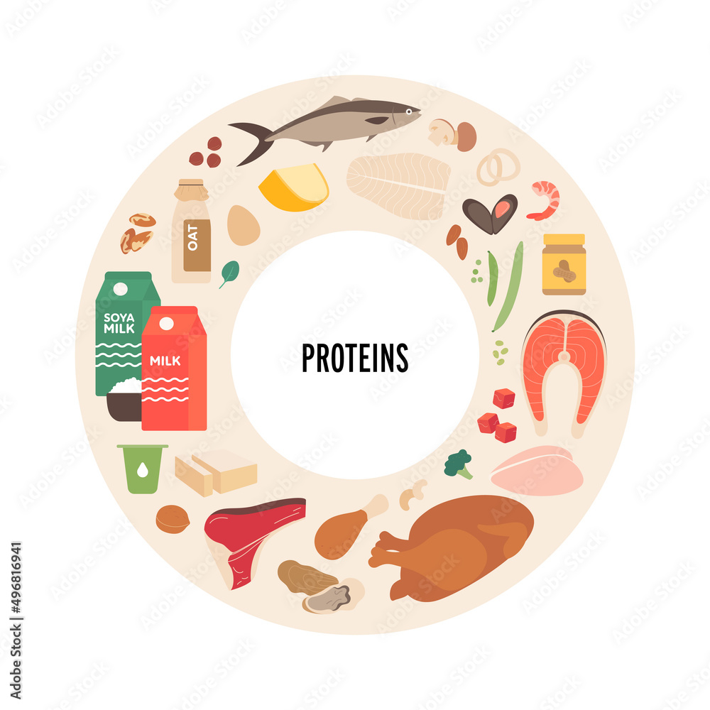 Food and meal ingredients vector flat illustration set. Protein sources ...