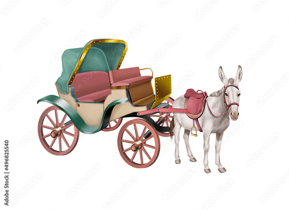 voiture, âne, calèche, millésime, vieux, blanc, transport, roue ...