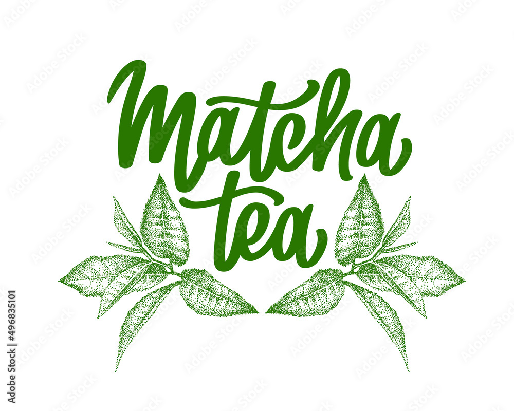 Matcha logo design. Lettering decorated of branch green leaves. Hand ...