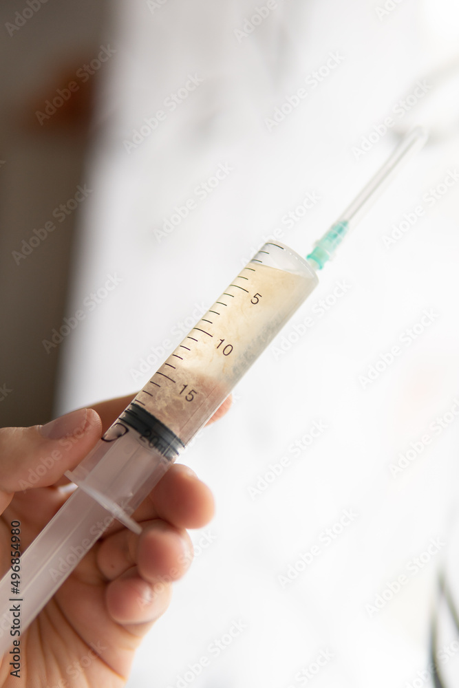 Liquid culture of mycelium. Psilocybin mushroom. Psilocybe cubensis ...