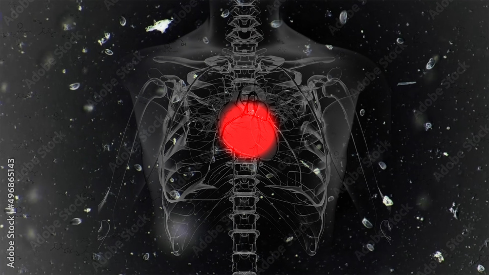 Computer Generated Human Heart Blinking Red Dot System Anatomy Stock ...