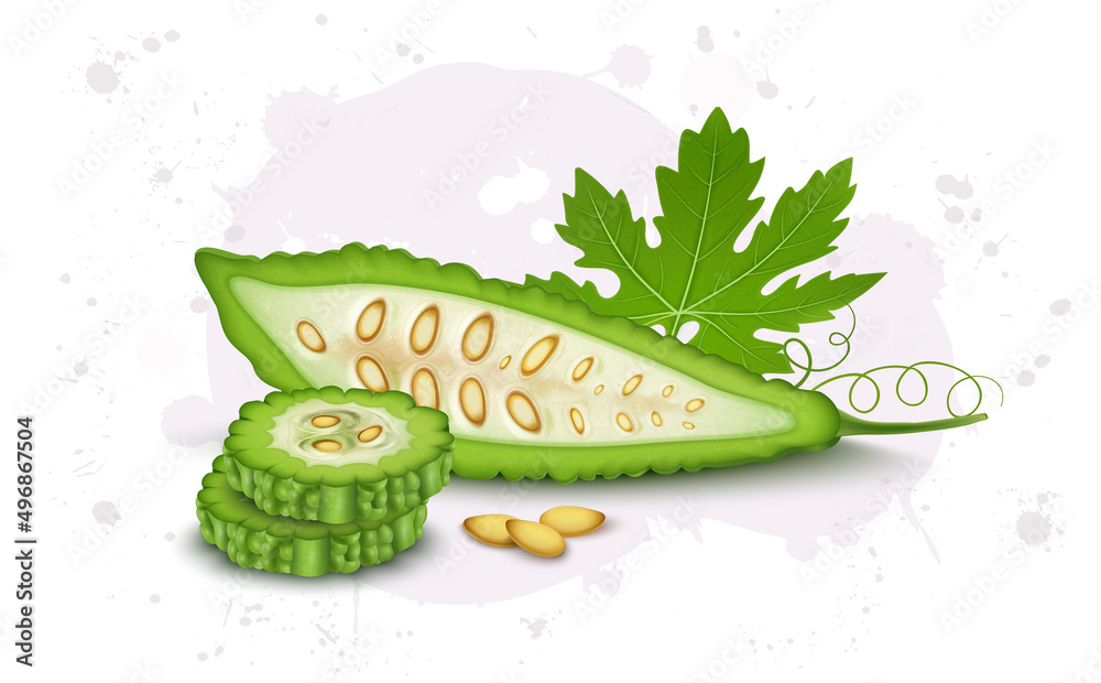Vector illustration of a half bitter gourd with two round bitter gourd ...