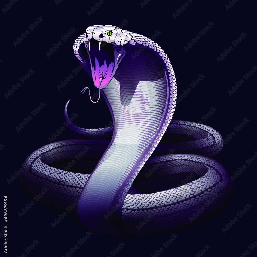 Snake. White Cobra. Vector hand drawn illustration of snake in ...