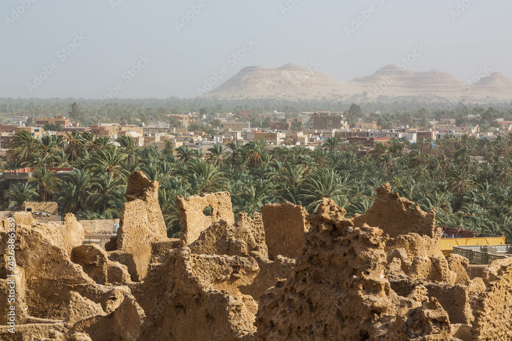 View of Shali Fortress ruins in old town, palm trees in oasis and sandy ...
