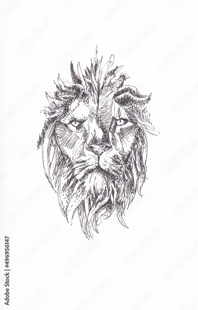 Lion. Pen and ink drawing Stock Illustration | Adobe Stock