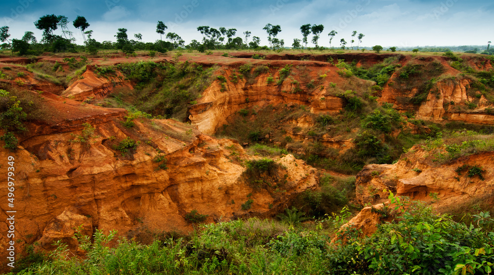 gongoni, called "grand canyon" of west bengal, gorge of red soil, India ...