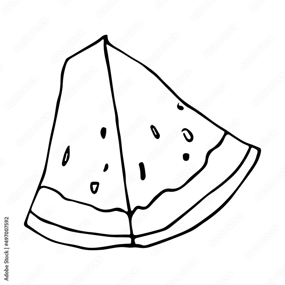 Vector watermelon clipart. Hand drawn melon outline icon. Fruit ...