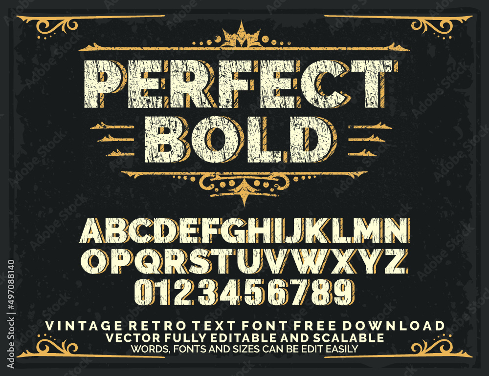 PERFECT BOLD VINTAGE RETRO SERIF SCRIPT FONT TYPOGRAPHY LETTERING ...