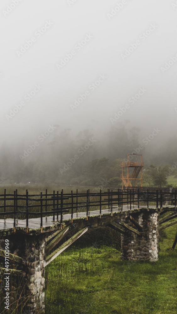 Puente de la laguna de Busa en Ecuador Stock Photo | Adobe Stock
