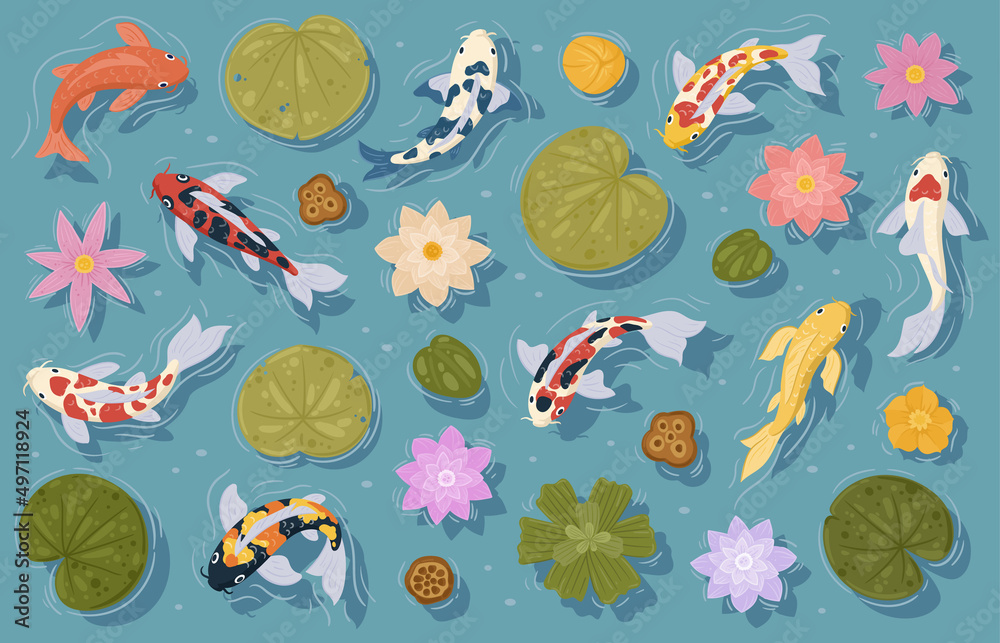 Koi fish, cartoon Japanese carp in pond water, oriental gold fish ...