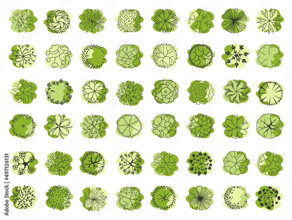 Set of trees. Entourage design. Various trees, bushes, and shrubs, top ...