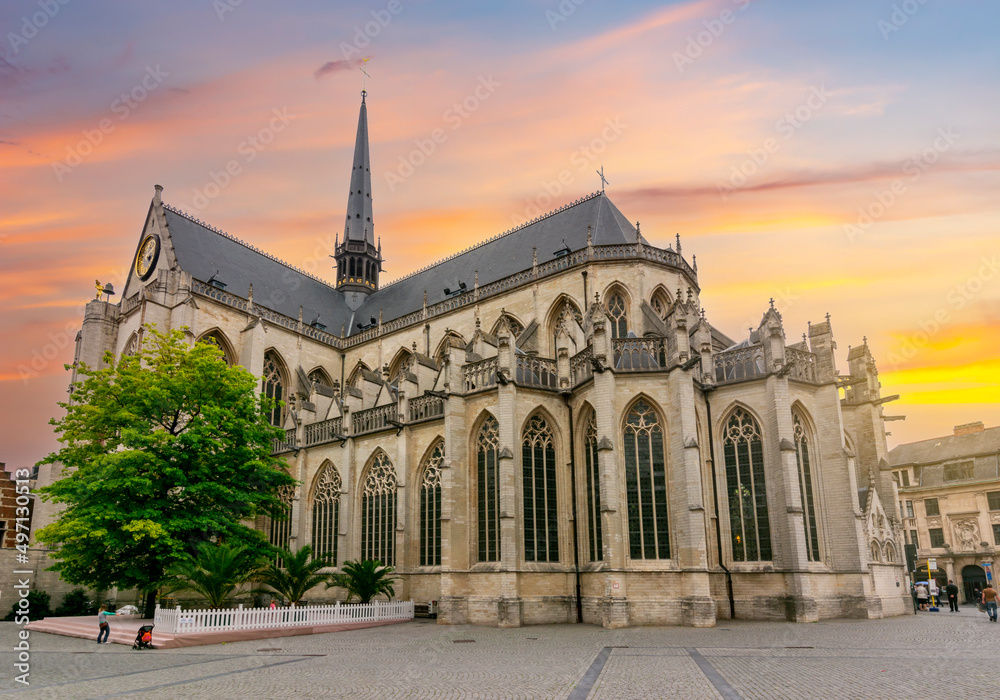 Saint Peter's Church (Sint-Pieterskerk) in center of Leuven, Belgium ...