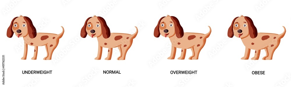 Dog body condition chart in cartoon style. Vector veterinary ...