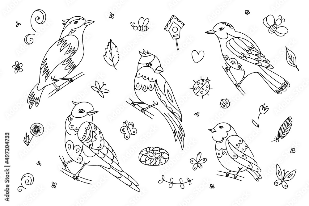 5 patterned birds. Zentangle page for coloring book Vector monochrome ...