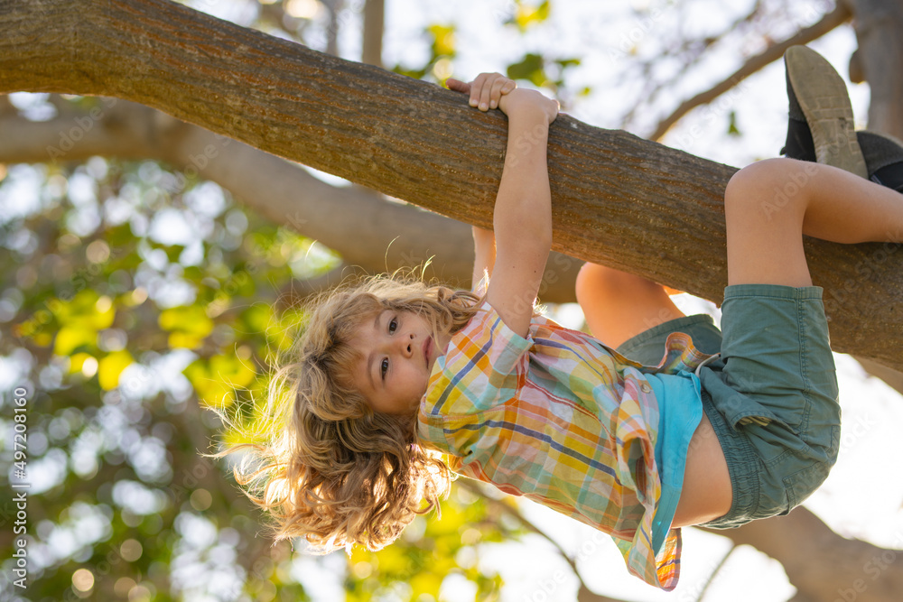 Child on a tree branch. Child climbing in adventure activity park ...