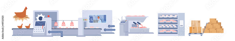 Wide set of chicken meat factory production. Agricultural poultry ...