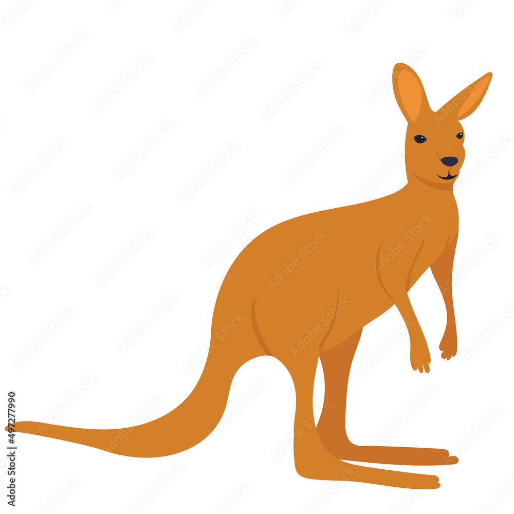 kangaroo flat design, isolated, vector Stock Vector | Adobe Stock