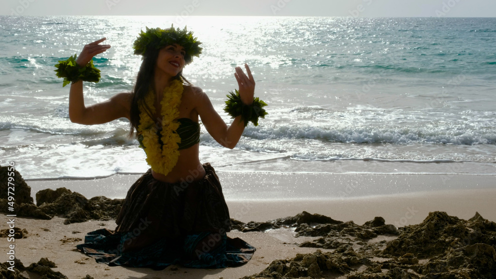 Hula hawaii dancer. Stock Photo | Adobe Stock