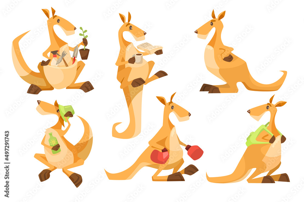 Cute kangaroo cartoon character vector illustrations set. Collection of ...