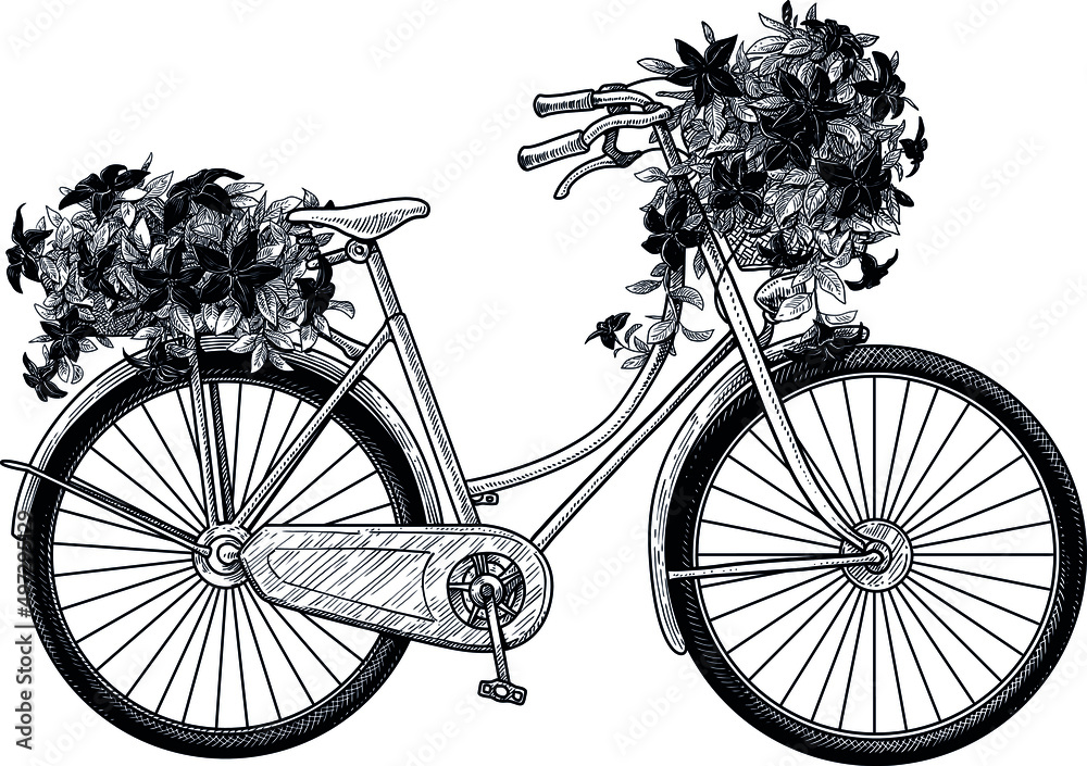 Poster Bicycle decorated with flowers illustration, drawing, engraving ...