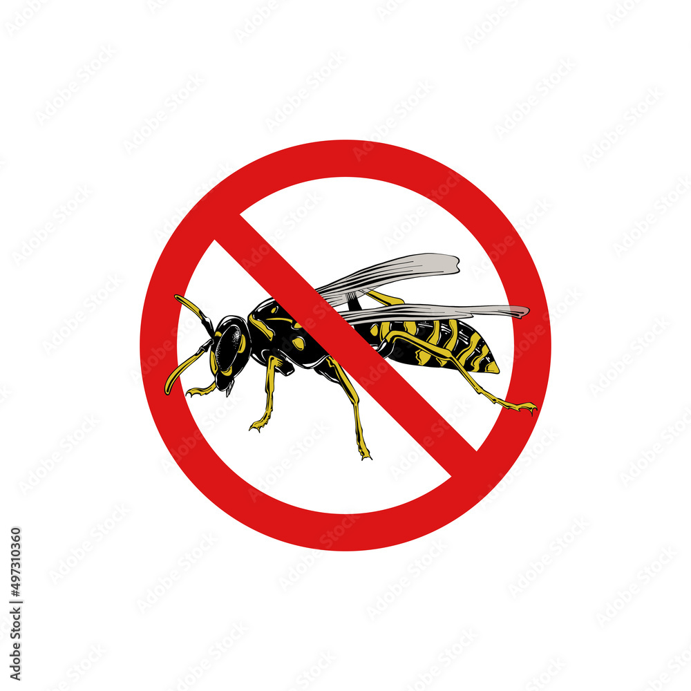 Vector hand drawn engraved isolated illustration of wasp, insect ...