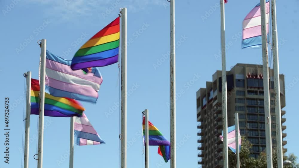 Gay Pride and Trans Pride Flags in the Wind 4K UHD. Rainbow colored Gay ...