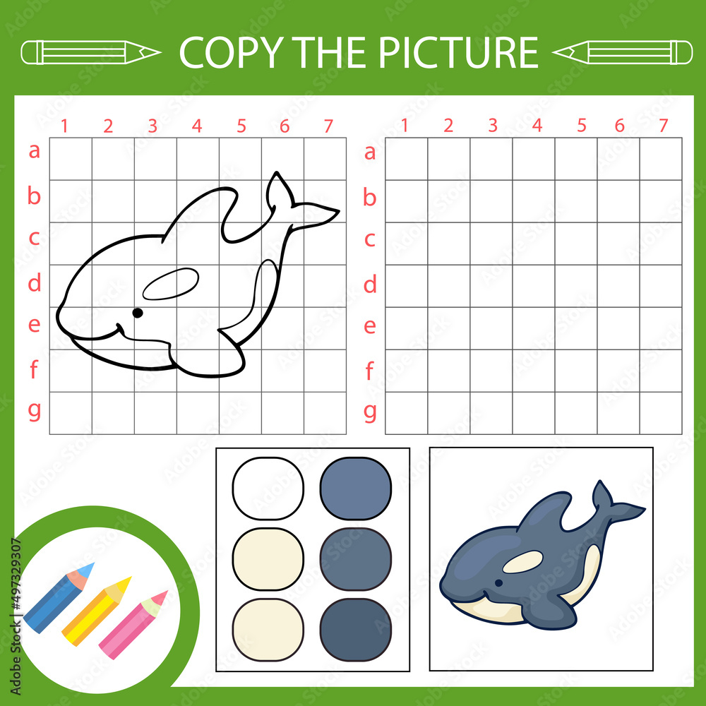 Kids education game. Copy drawing of killer whale. Kids draw lesson ...