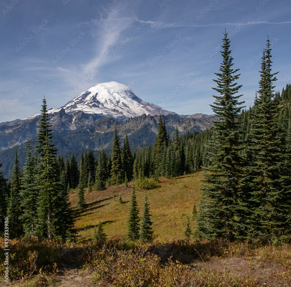 Mount Rainier with alpine evergreen trees as seen in autumn from Naches ...